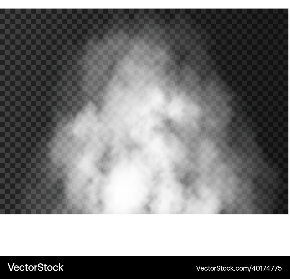 Realistic white smoke isolated on transparent Vector Image