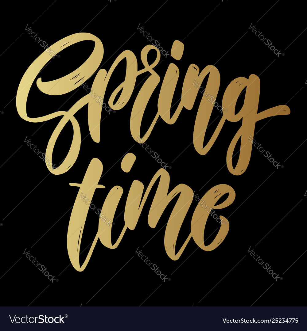 Spring time text lettering phrase for poster Vector Image