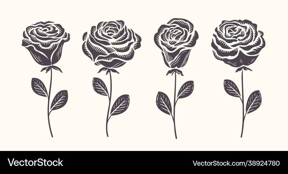 Rose with leaves icon set decorative flower Vector Image