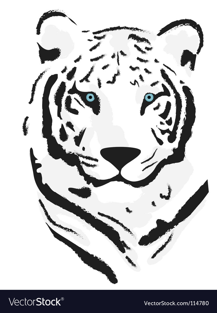 Tiger Royalty Free Vector Image - VectorStock