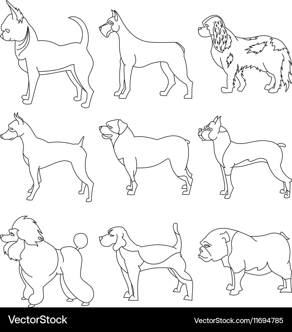 Set purebred dogs in linear style Royalty Free Vector Image