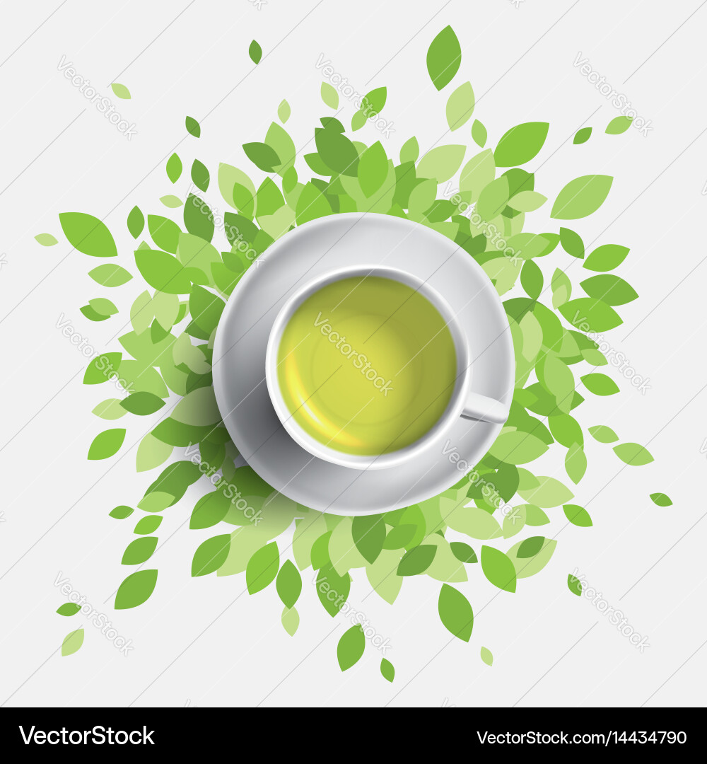 Green tea cup green leaves Royalty Free Vector Image