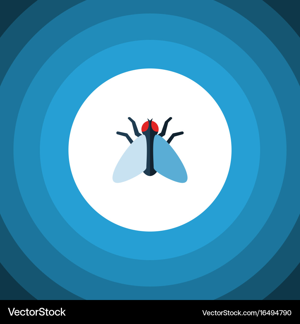 Isolated tiny flat icon housefly element Vector Image