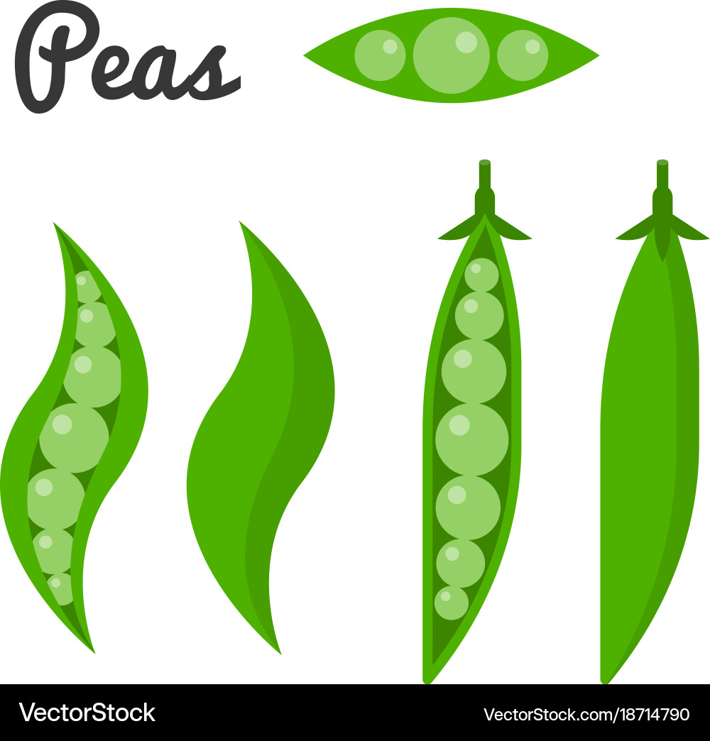 Peas and unpeeled pea Royalty Free Vector Image