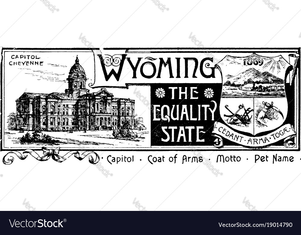 State banner of wyoming the equality Royalty Free Vector