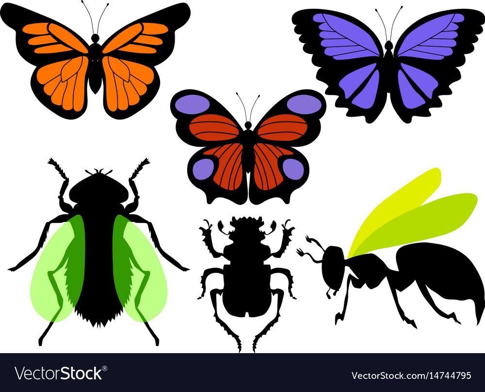 Insects Royalty Free Vector Image - VectorStock