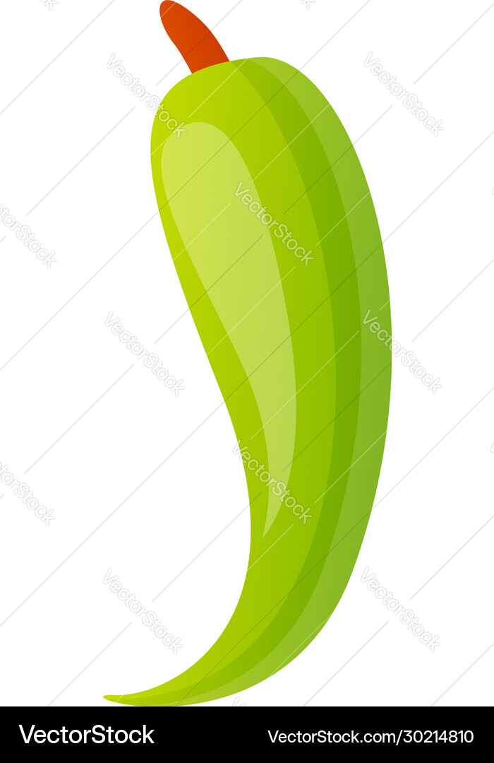 Green chilli pepper icon cartoon style Royalty Free Vector