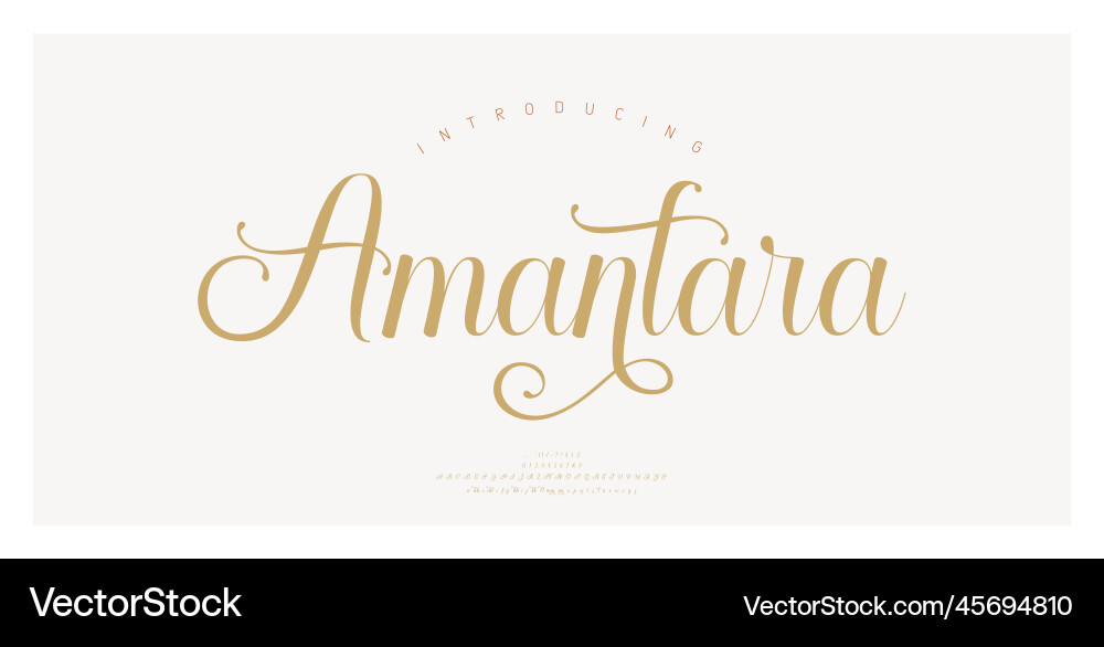 Luxury wedding alphabet letters font typography Vector Image