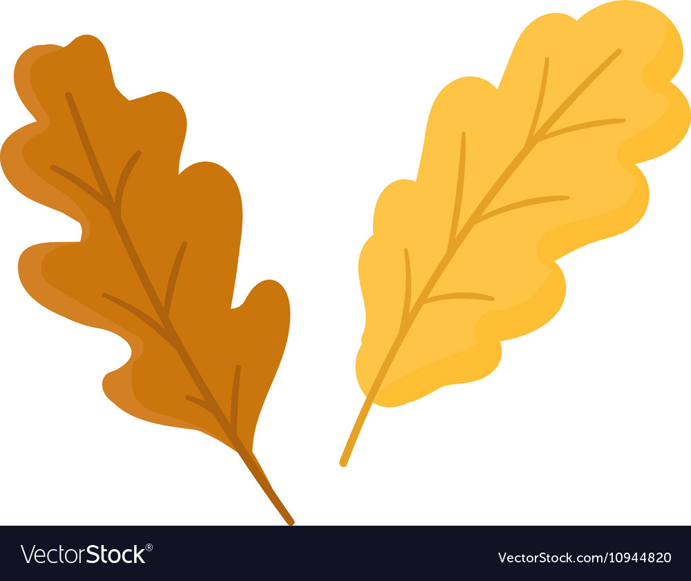 Autumn leaf Royalty Free Vector Image - VectorStock