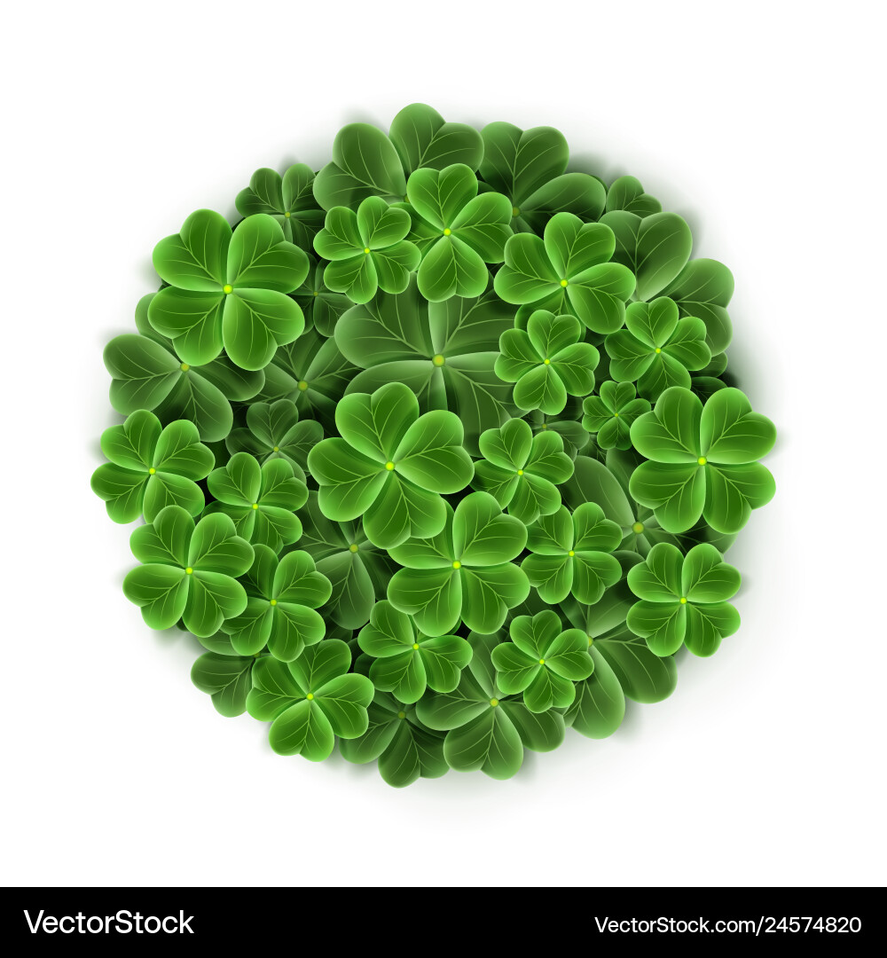 Circle filled with realistic clover leaves for st Vector Image