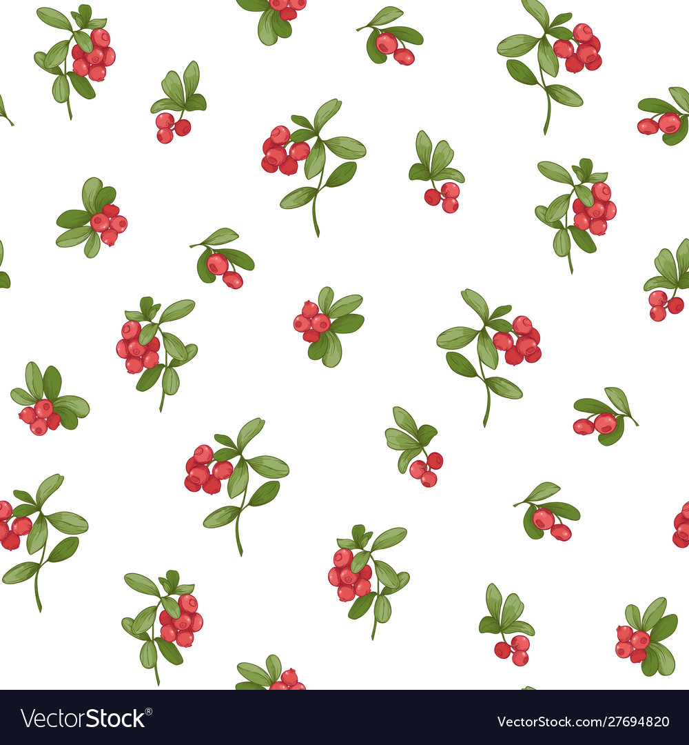 Cranberry seamless pattern Royalty Free Vector Image