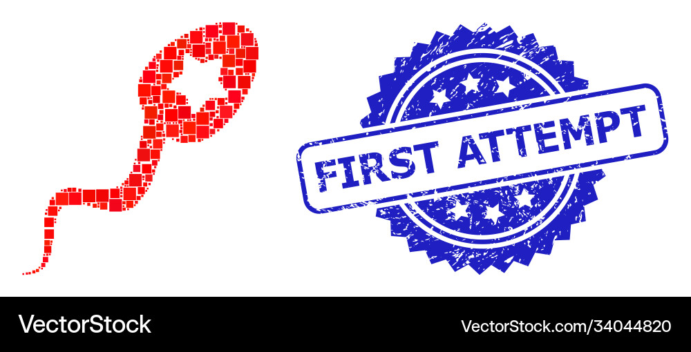 Distress first attempt seal and square dot mosaic Vector Image