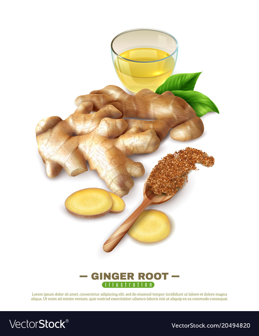 Ginger root 3d composition Royalty Free Vector Image