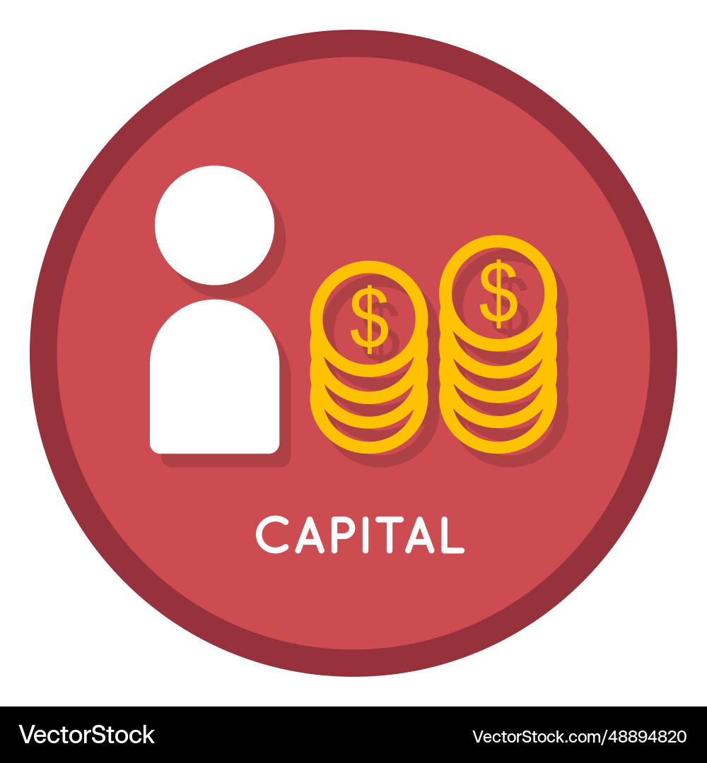 Investment capital icon Royalty Free Vector Image