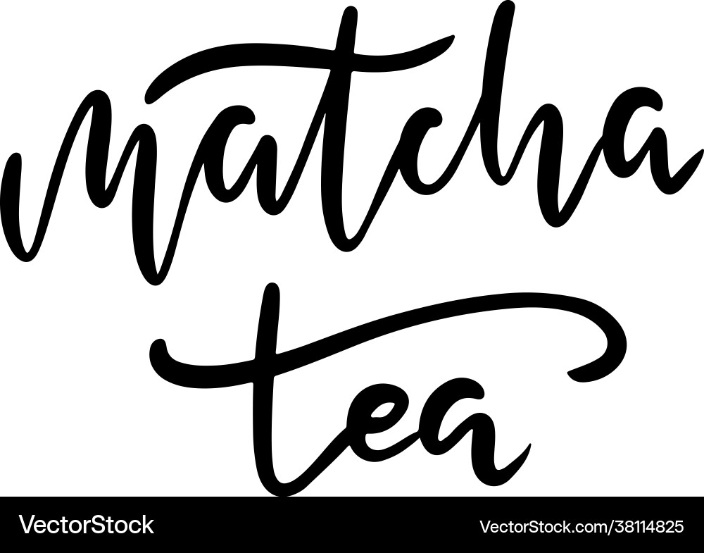 Matcha tea modern brush lettering green Royalty Free Vector