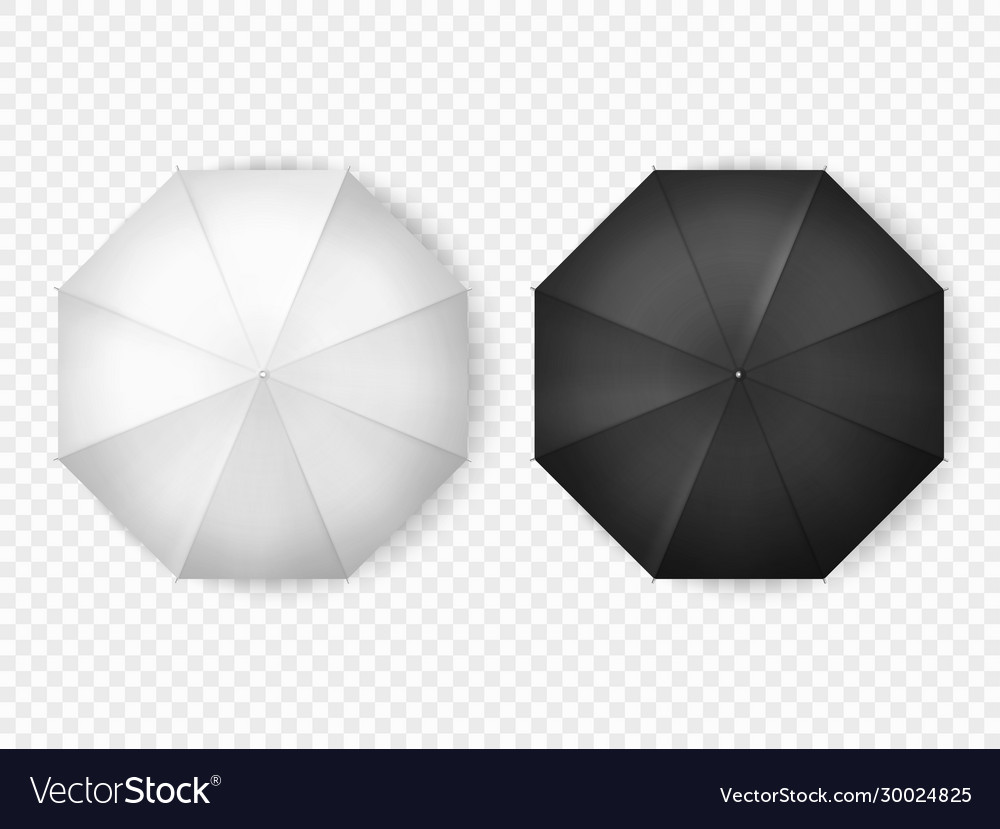 White and black open umbrellas top view mockups Vector Image