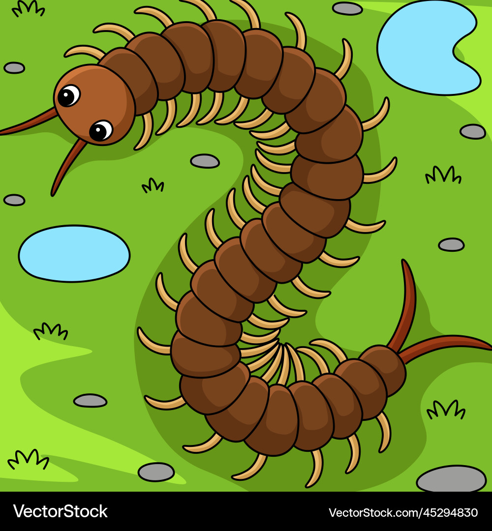 Centipede animal colored cartoon Royalty Free Vector Image