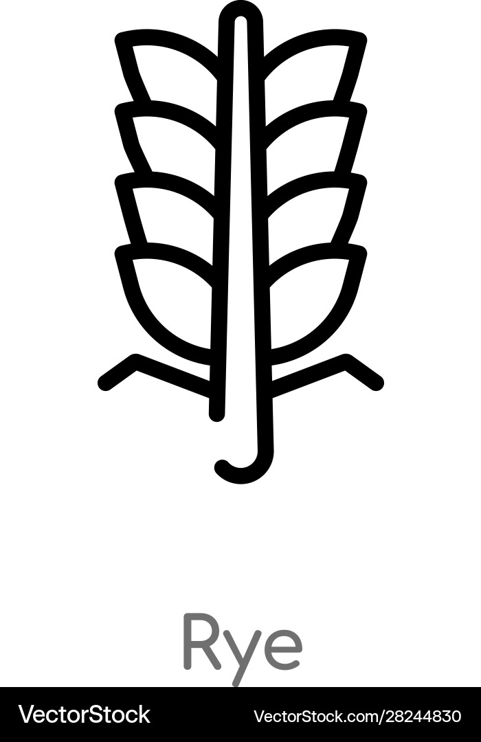 Outline rye icon isolated black simple line Vector Image
