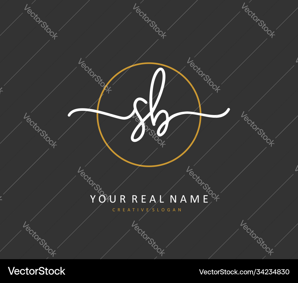 S b sb initial letter handwriting and signature Vector Image