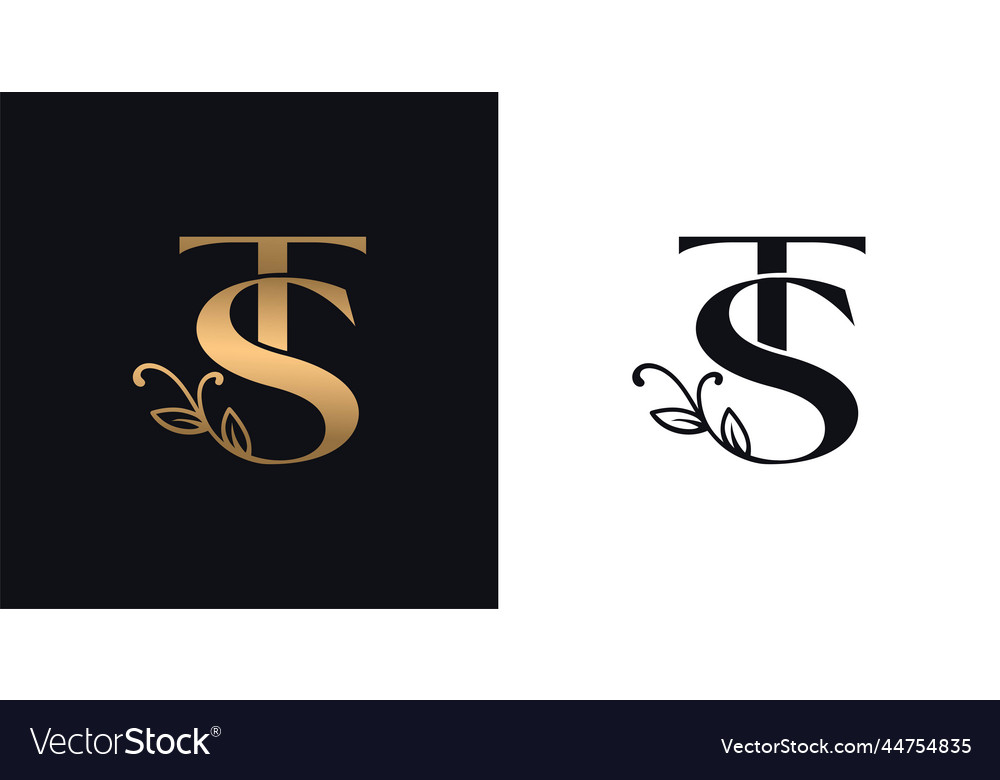 Beauty Salon Woman Style Logo Ts Or St Design Vector Image