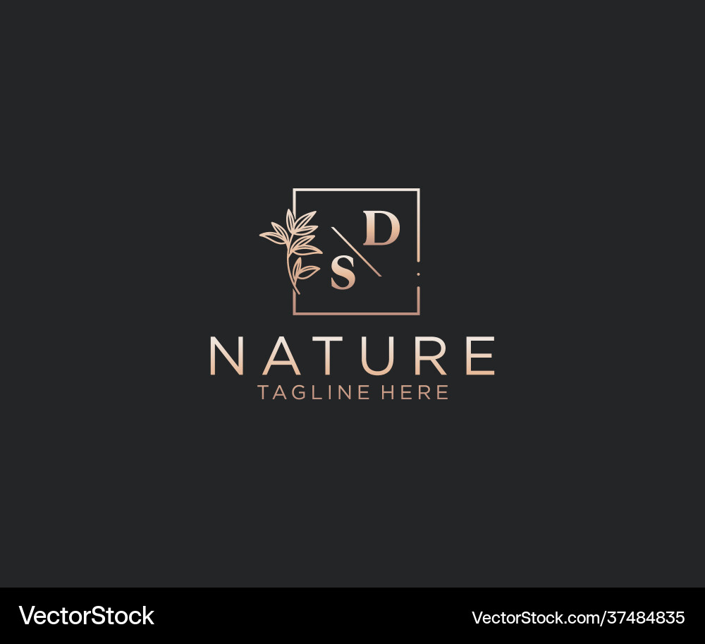 Initial ds letters beautiful floral feminine Vector Image