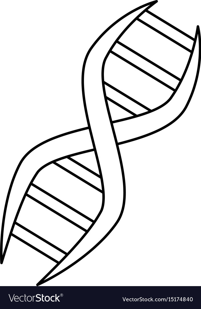 Adn genetic code Royalty Free Vector Image - VectorStock