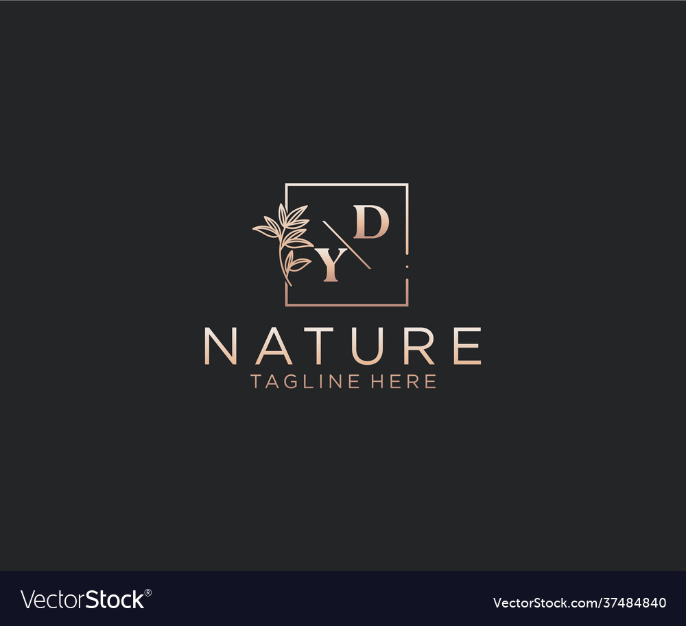 Initial dy letters beautiful floral feminine Vector Image