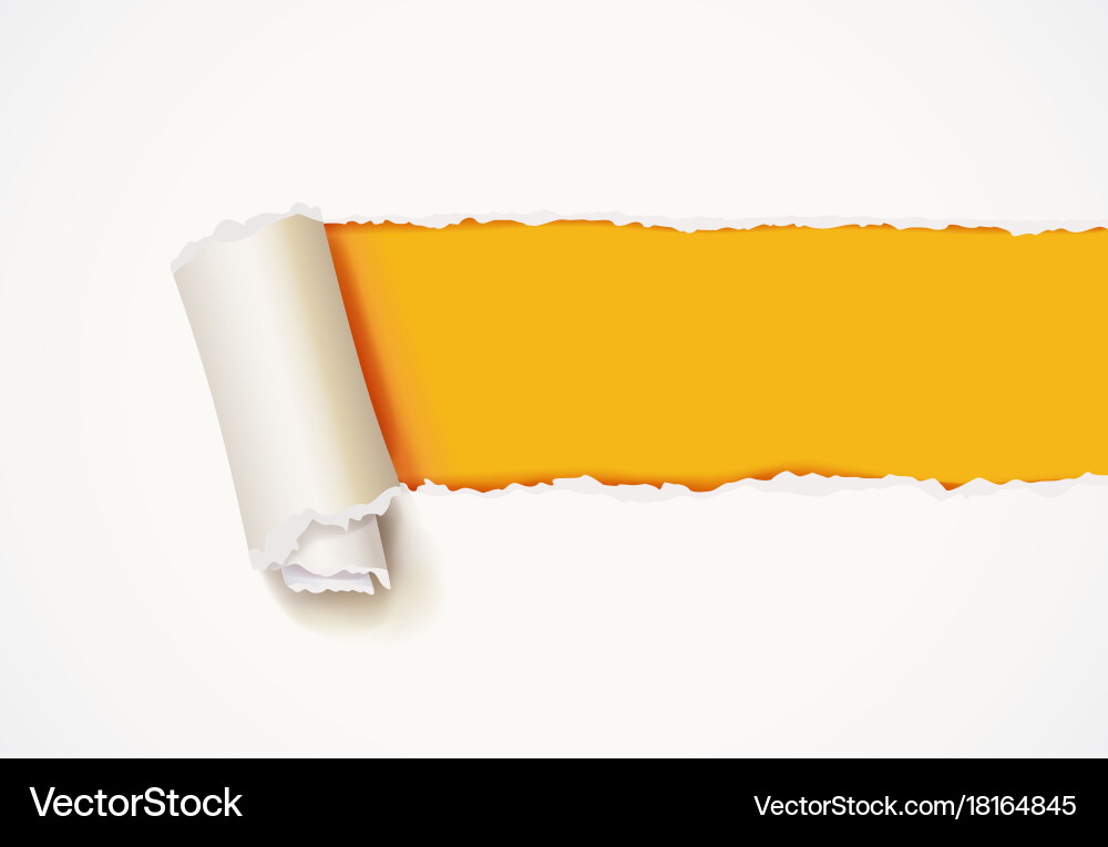 Curl of white paper torn Royalty Free Vector Image