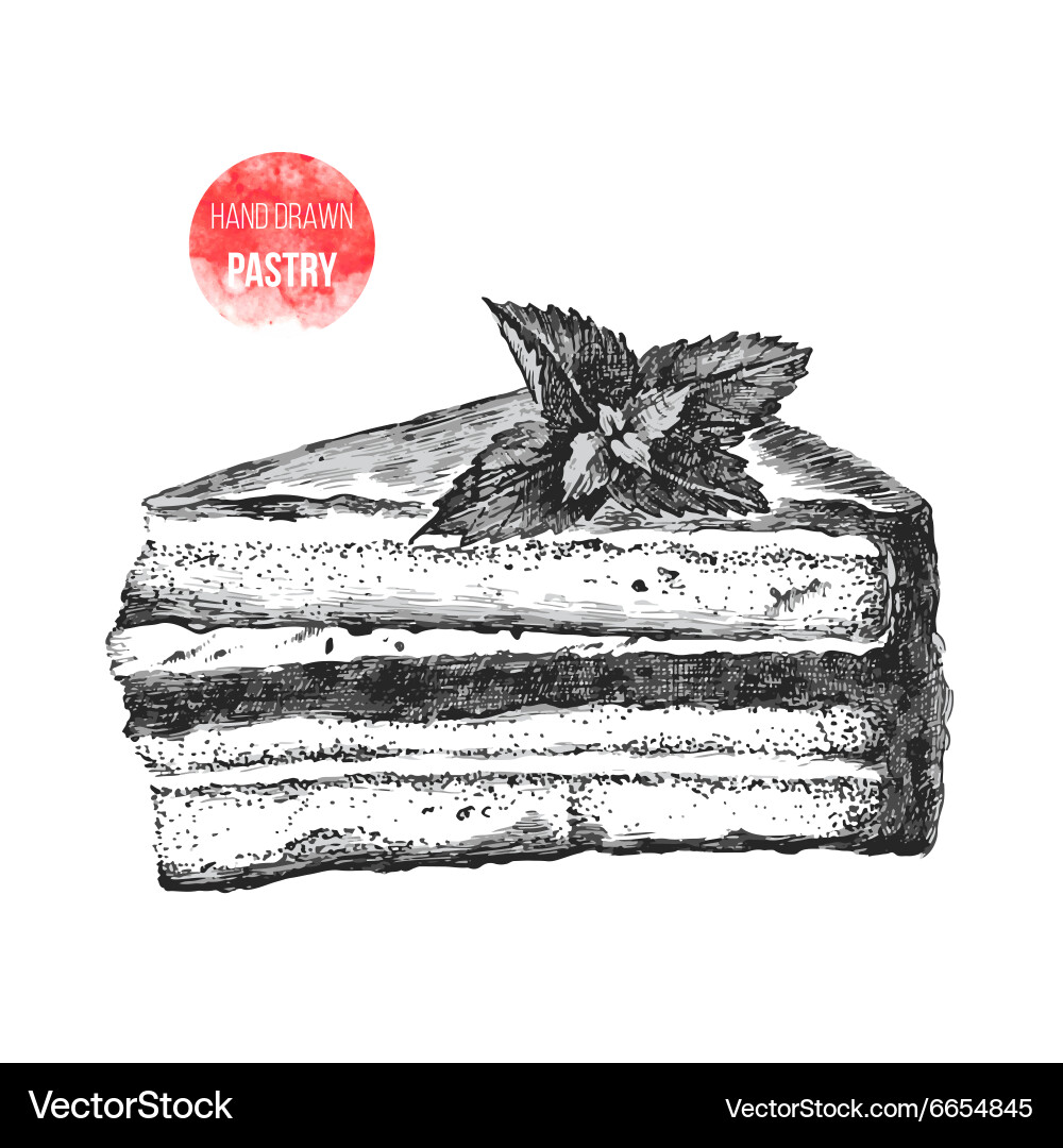 Hand drawn slice of cake with mint Royalty Free Vector Image