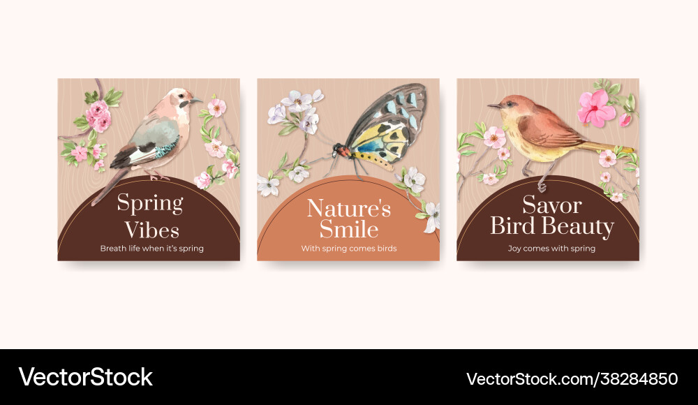 Advertise template with spring and bird concept Vector Image