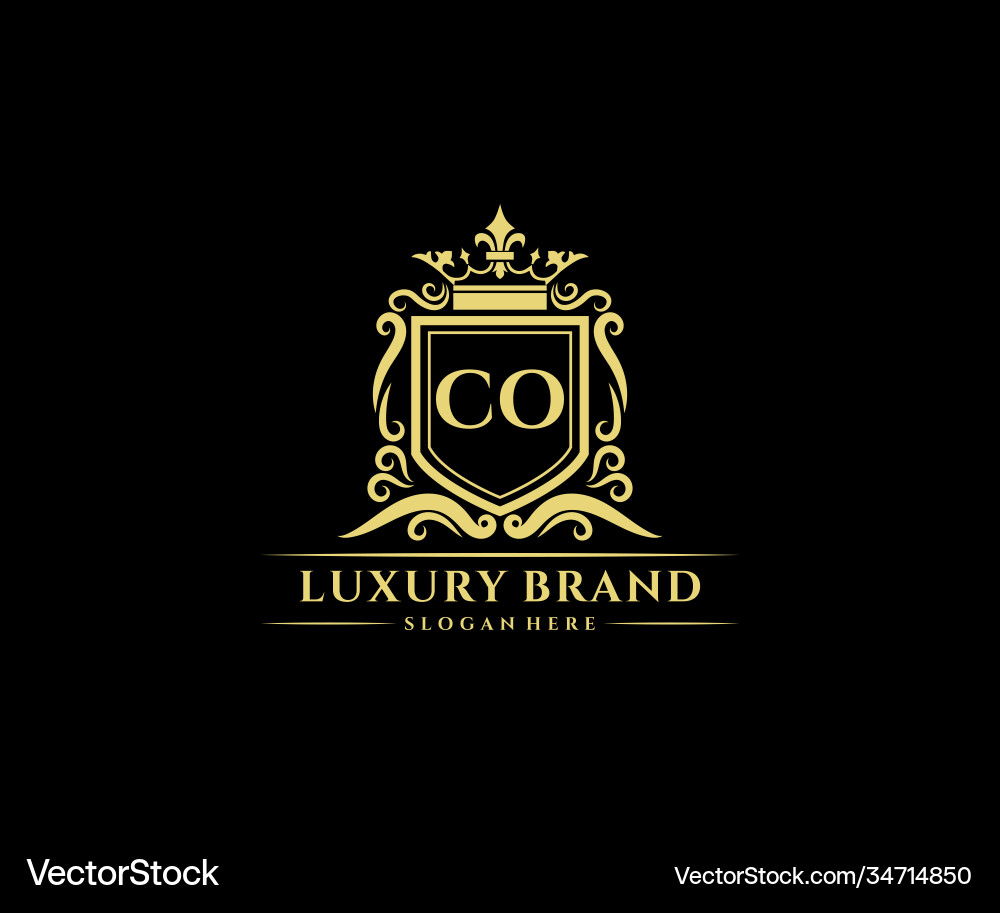 Co initial letter gold calligraphic feminine Vector Image