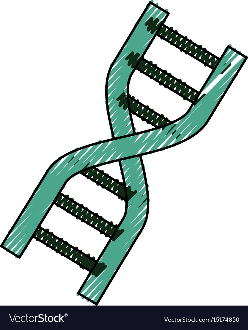 Genetic code Royalty Free Vector Image - VectorStock
