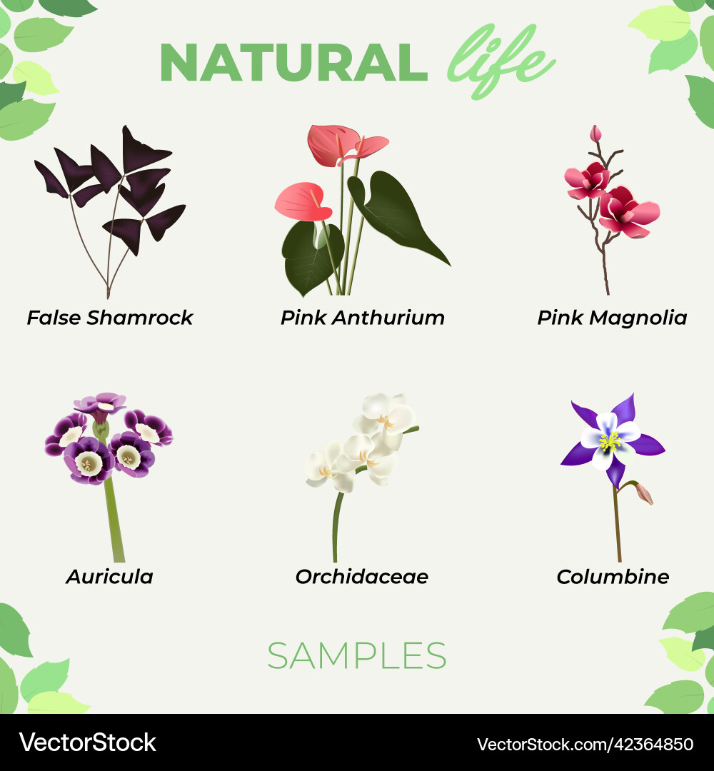 Natural life plants free Royalty Free Vector Image