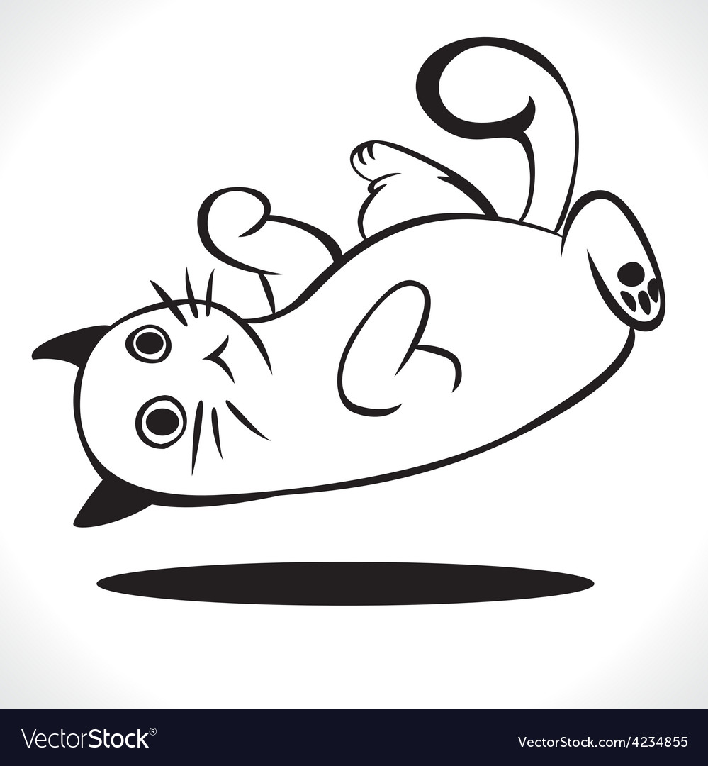 Cat 5 Royalty Free Vector Image - VectorStock