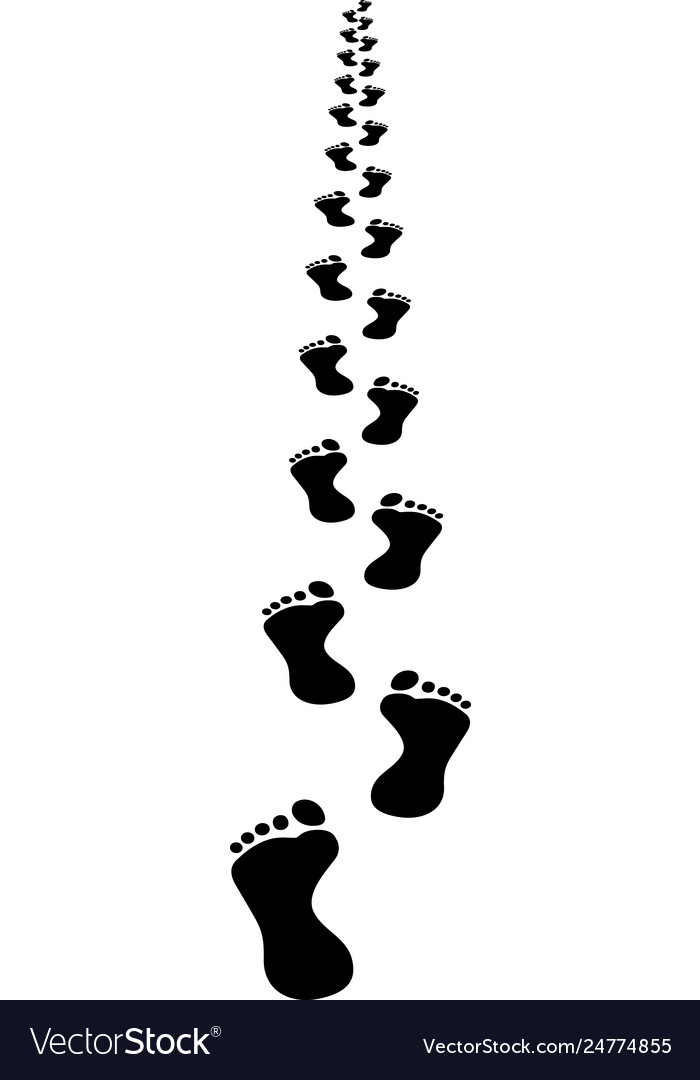 Footpath Royalty Free Vector Image - VectorStock