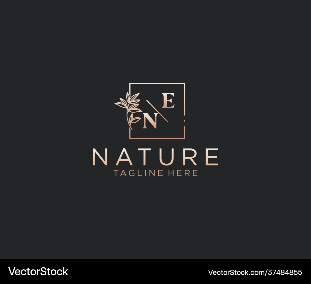 Initial en letters beautiful floral feminine Vector Image