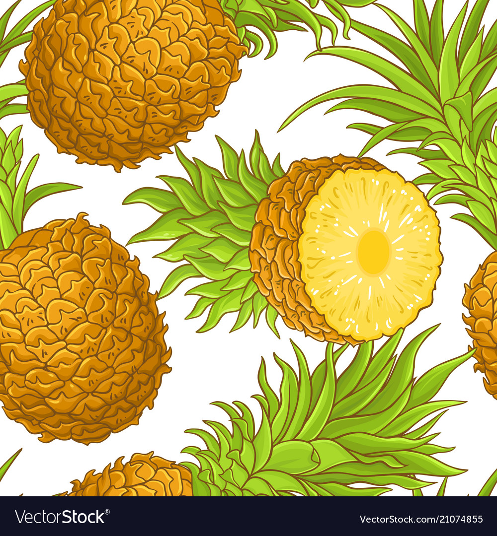 Pineapple fruit pattern Royalty Free Vector Image