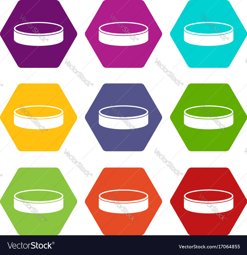 Puck icon set color hexahedron Royalty Free Vector Image