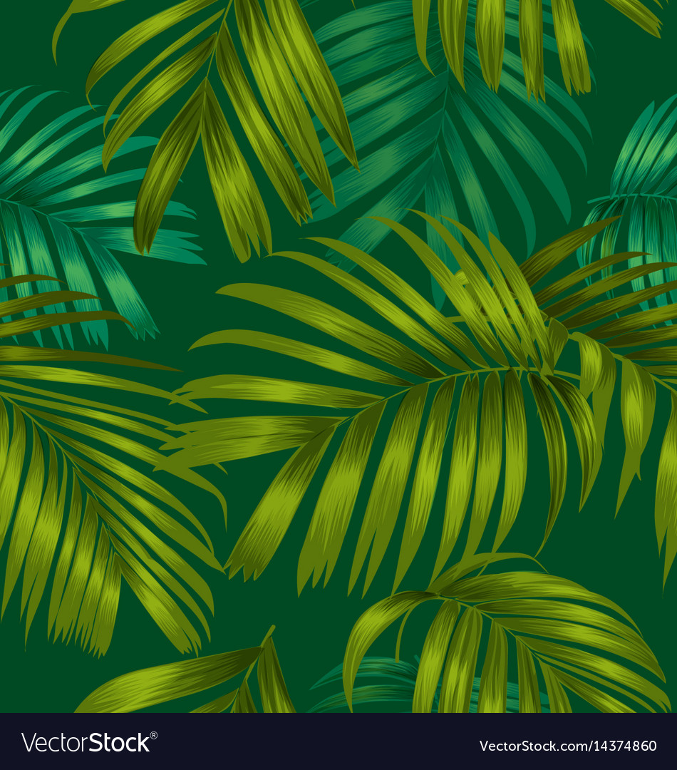 Palm leaf pattern Royalty Free Vector Image - VectorStock