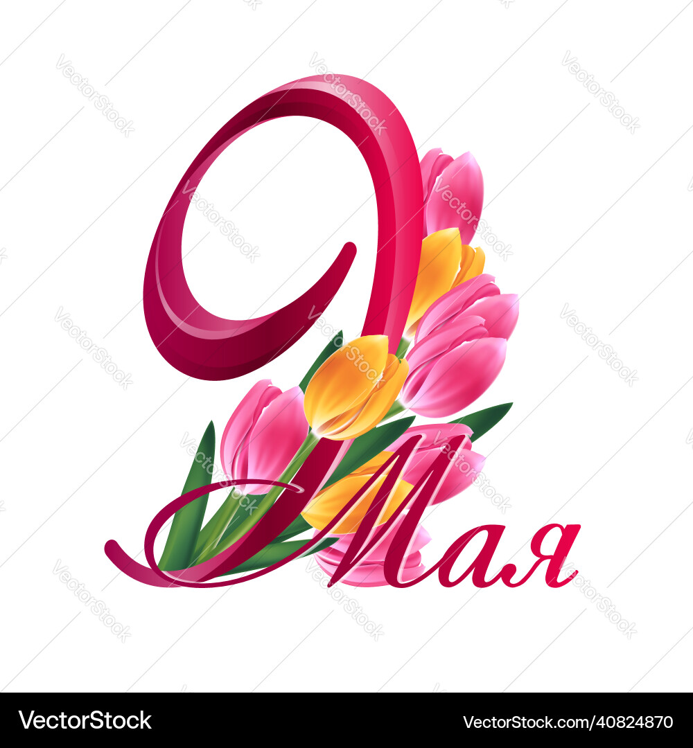 9 may victory day concept inscription Royalty Free Vector
