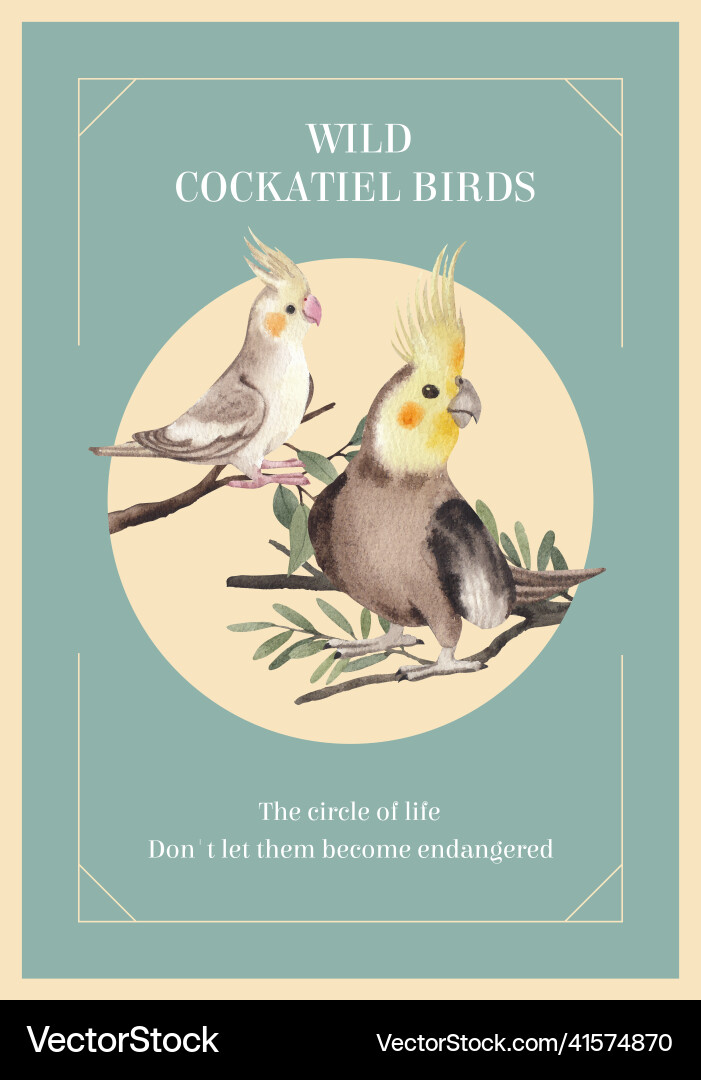 Poster template with cockatiel bird Royalty Free Vector