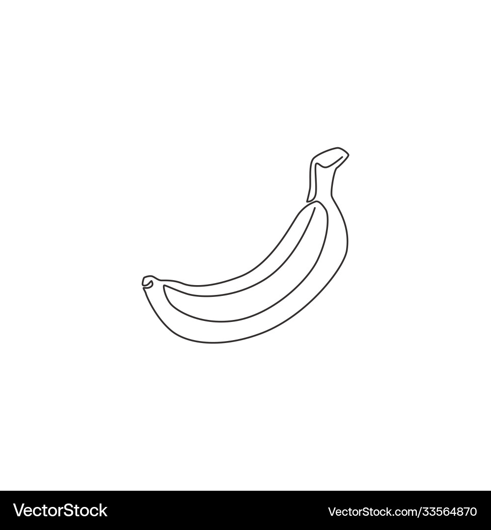 Single one line drawing whole healthy organic Vector Image