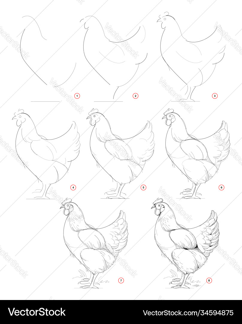 How to draw sketch imaginary domestic hen Vector Image