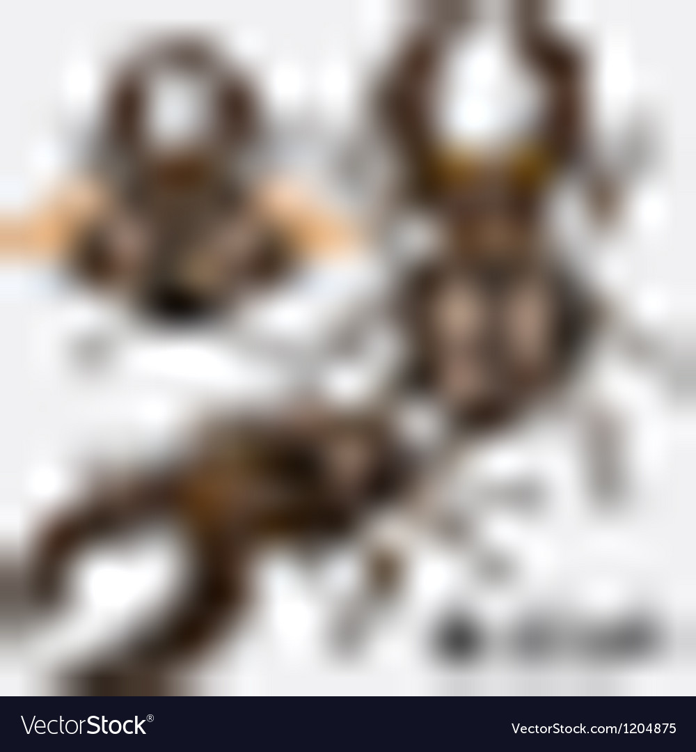 Stag beetle insect Royalty Free Vector Image - VectorStock