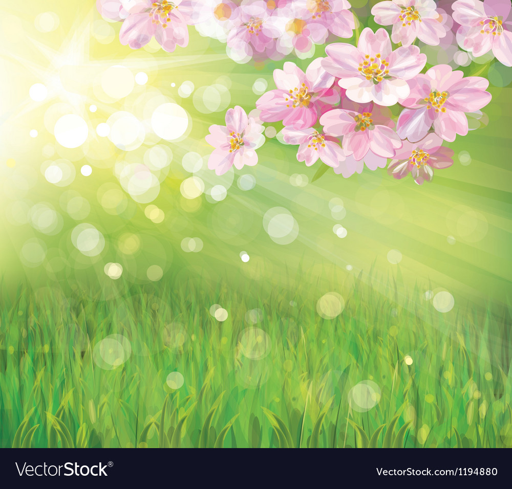 Spring Royalty Free Vector Image - VectorStock