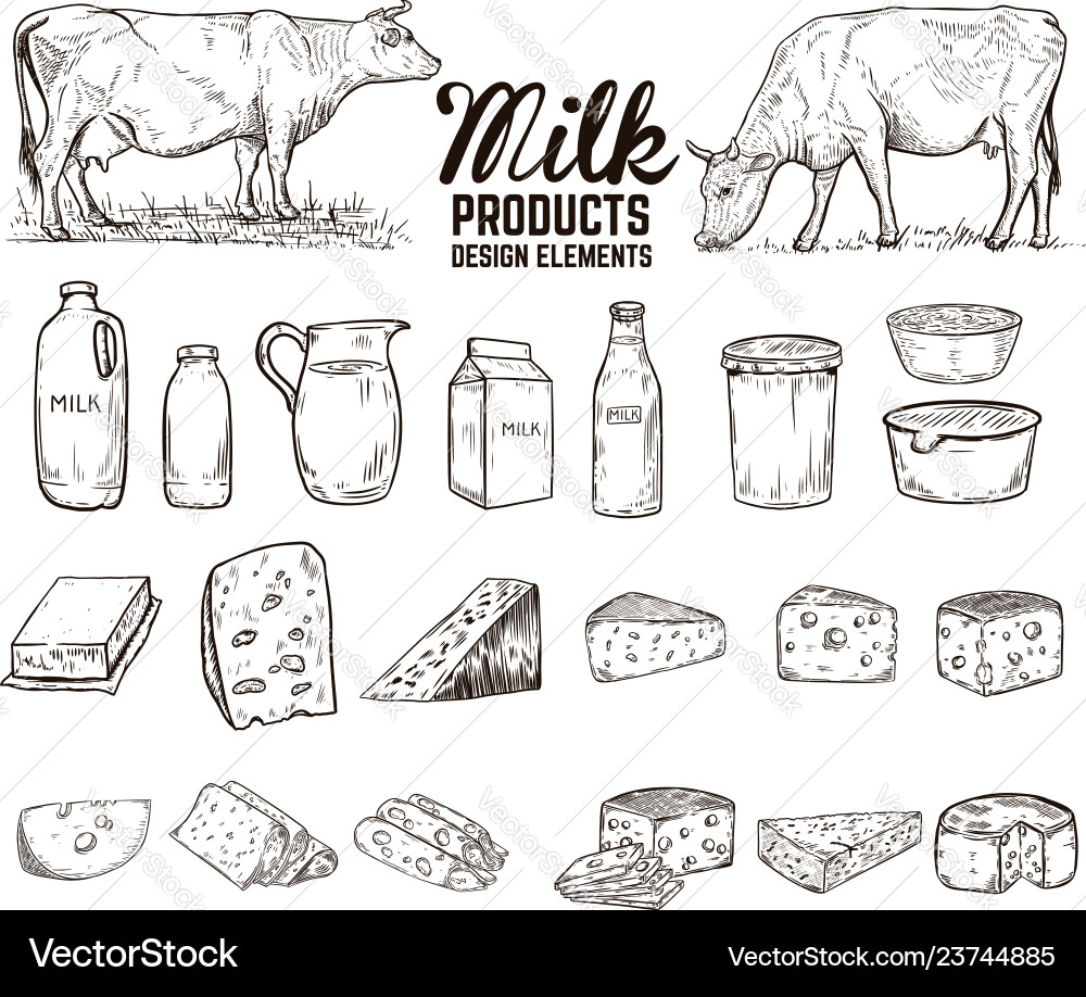 Set of hand drawn milk products design elements Vector Image