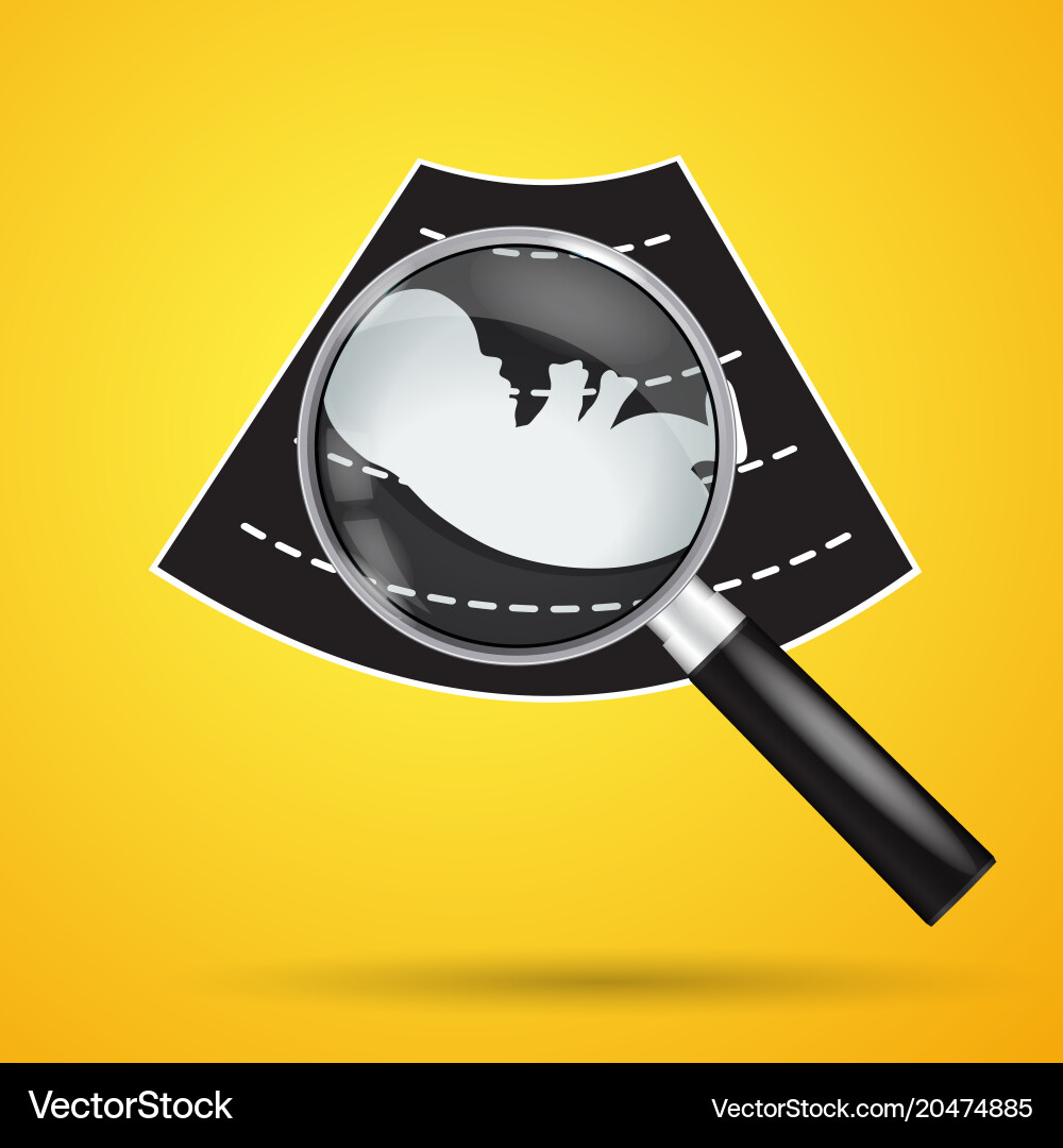Ultrasonography baby icon screening Royalty Free Vector