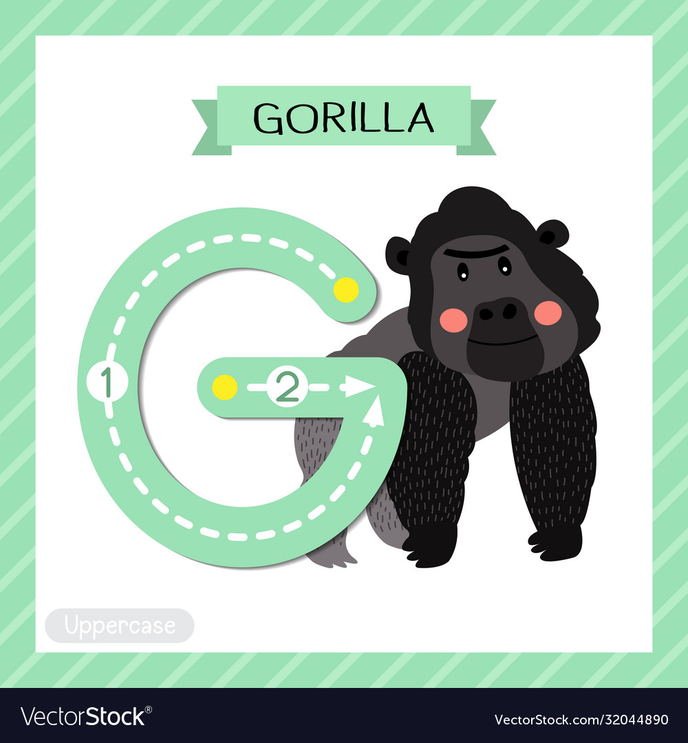 Letter g uppercase tracing gorilla Royalty Free Vector Image