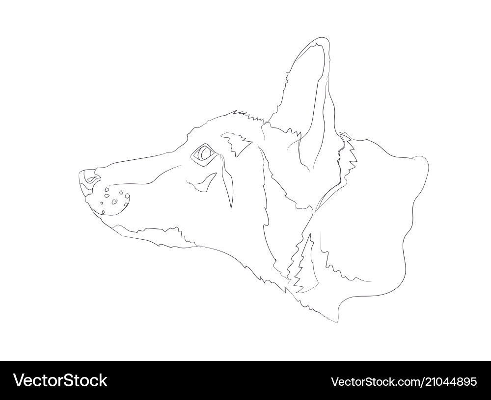 Dog portrait lines Royalty Free Vector Image - VectorStock
