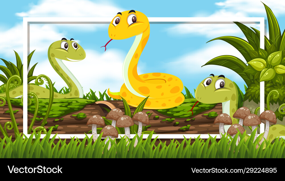 Frame design with snakes in woods background Vector Image